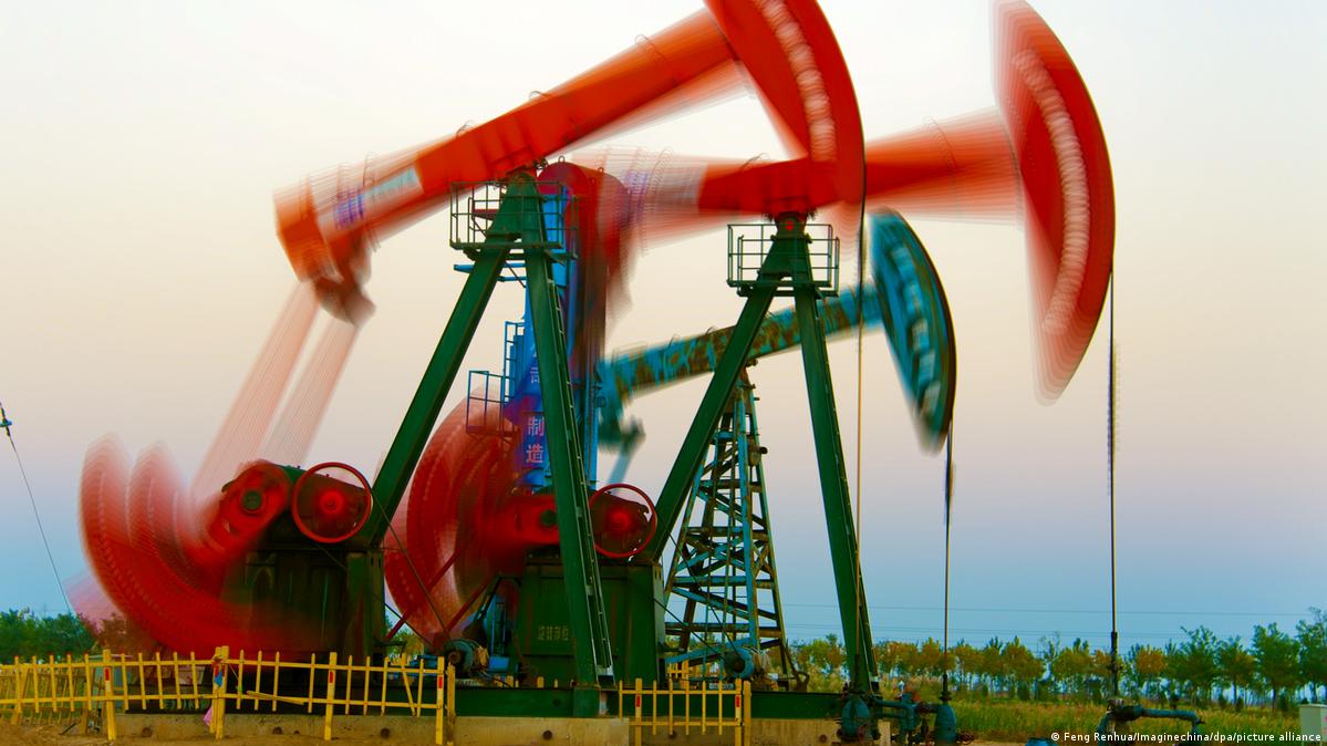 How a Chinese firm ran a billion-euro carbon credit scam – DW – 12/11/2024