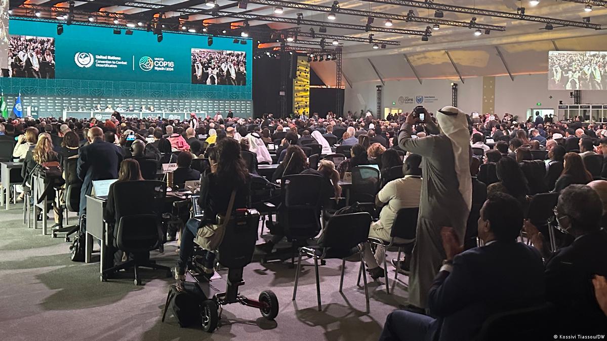 UN COP16 summit tackles forced migration and insecurity – DW – 12/10/2024