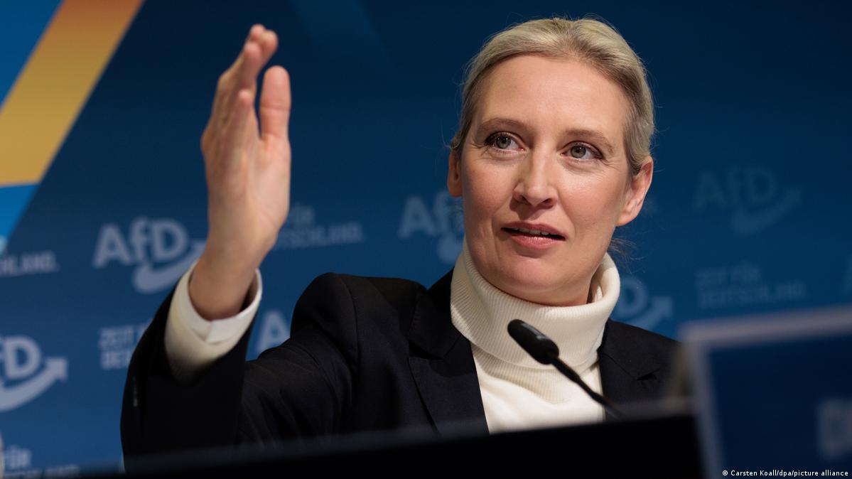 Fact check: Far-right AfD supporters spread false survey – DW – 12/19/2024