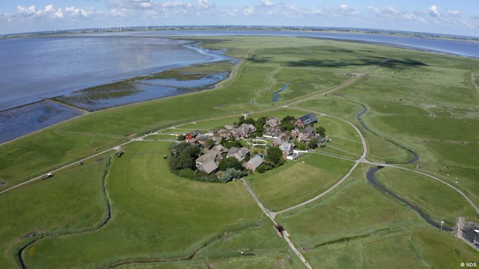 Hallig life in northern Germany amid the climate crisis