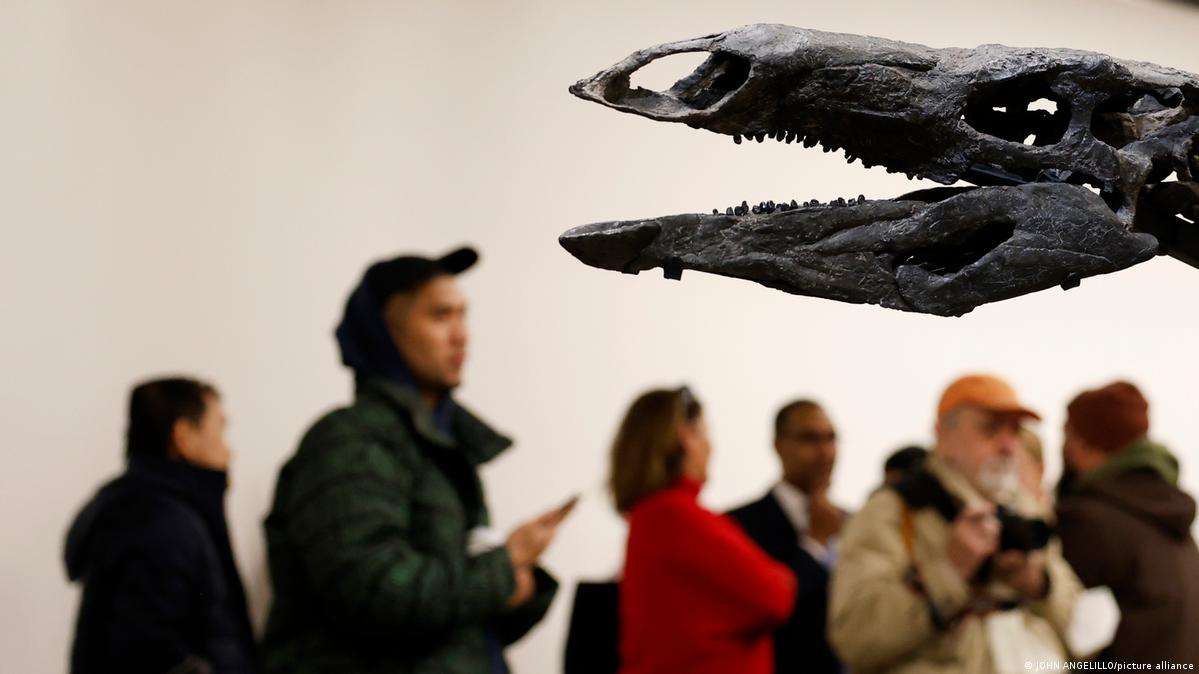 Un nuevo hallazgo fósil desafía el origen de los dinosaurios