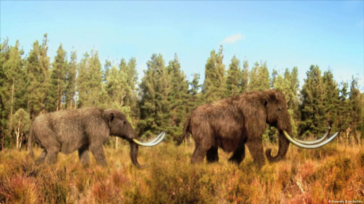 Reversing Extinction - The Next Chapter in Conservation?