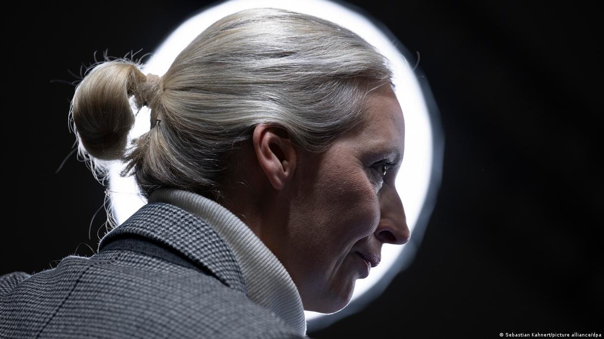 German AfD party grows parliamentary clout, sparking concern – DW – 03 ...