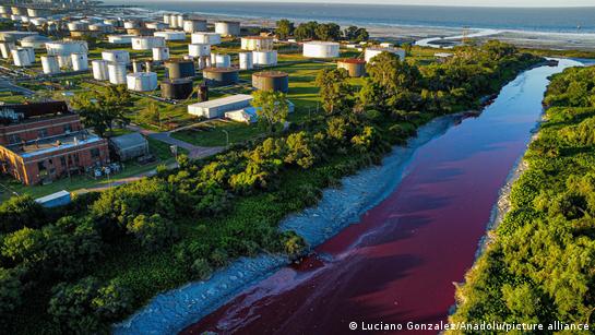 Argentina: Alarm as river runs blood-red – DW – 02/07/2025