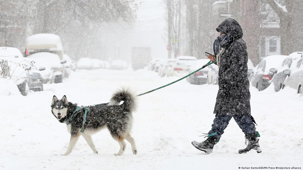 Earth is warming, so why is it so cold? – DW – 02/19/2025