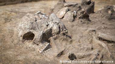 Spain: Scientists uncover oldest face in Western Europe – DW – 03/13/2025