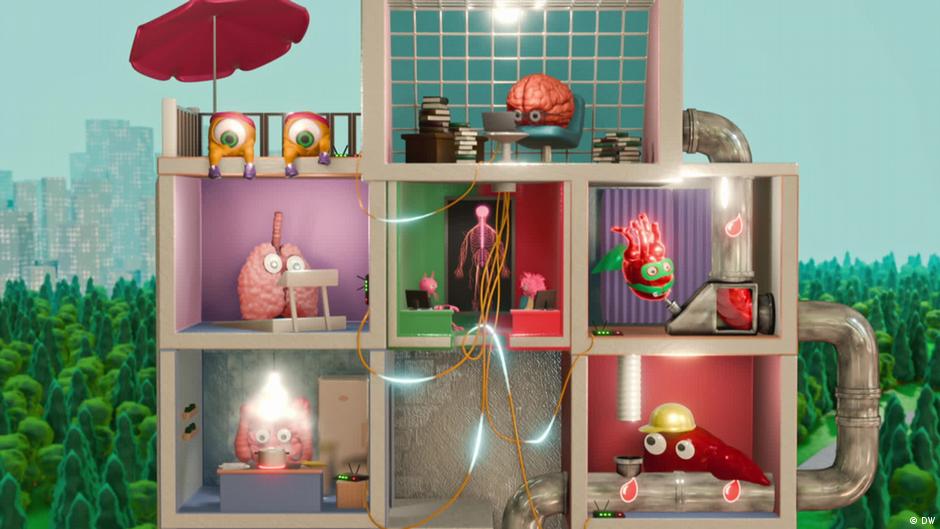 Wie unsere Nerven funktionieren – DW – 26.03.2025