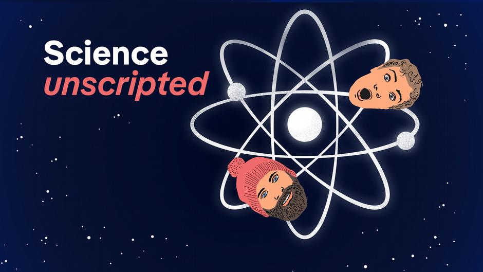 Yes, men find female breasts attractive. But why? – DW – 06/01/2025