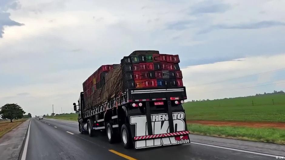 Why are Brazil's trucks raised in the rear? – DW – 03/24/2025