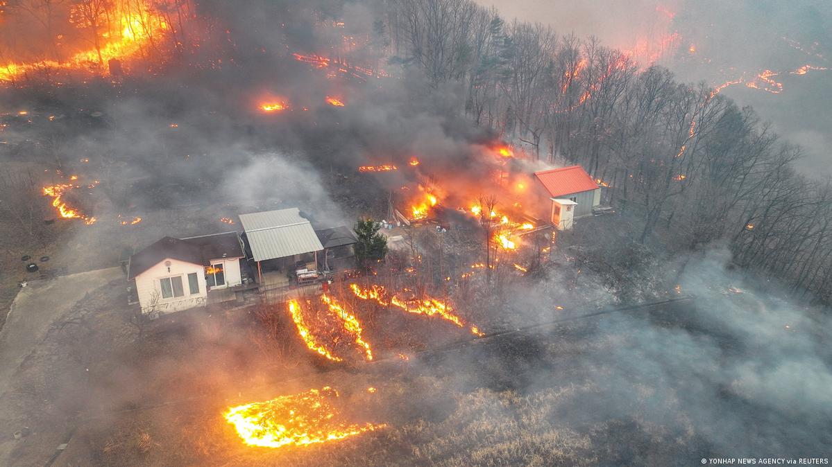 Moto mkubwa wa msituni wauwa watu 24 Korea Kusini – DW – 26.03.2025