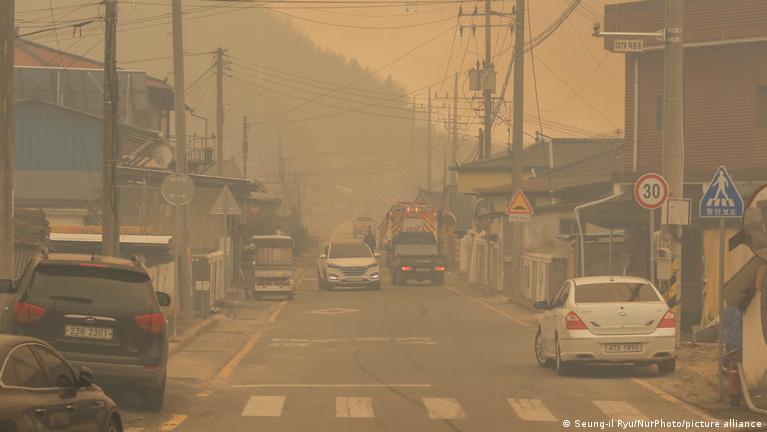 South Korea wildfires now largest and deadliest on record – DW – 03/27/2025