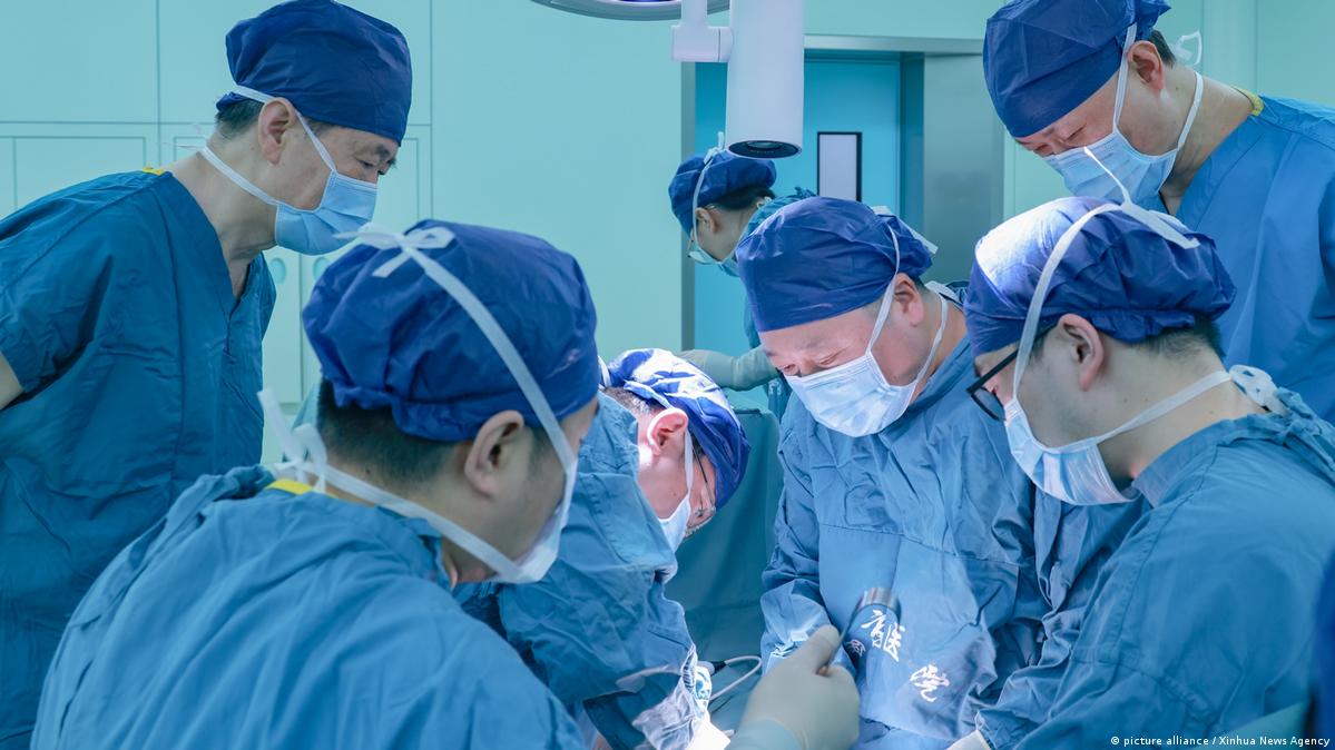 China: Surgeons conduct pig-to-human lung transplant – DW – 08/26/2025