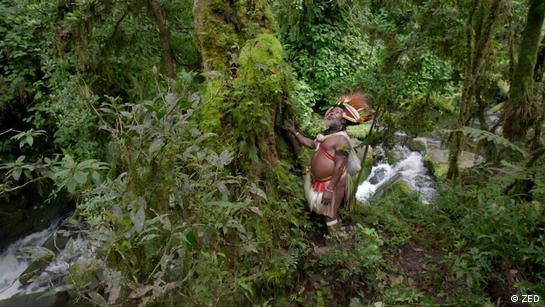 The Forests of Papua New Guinea - The Time for Solutions