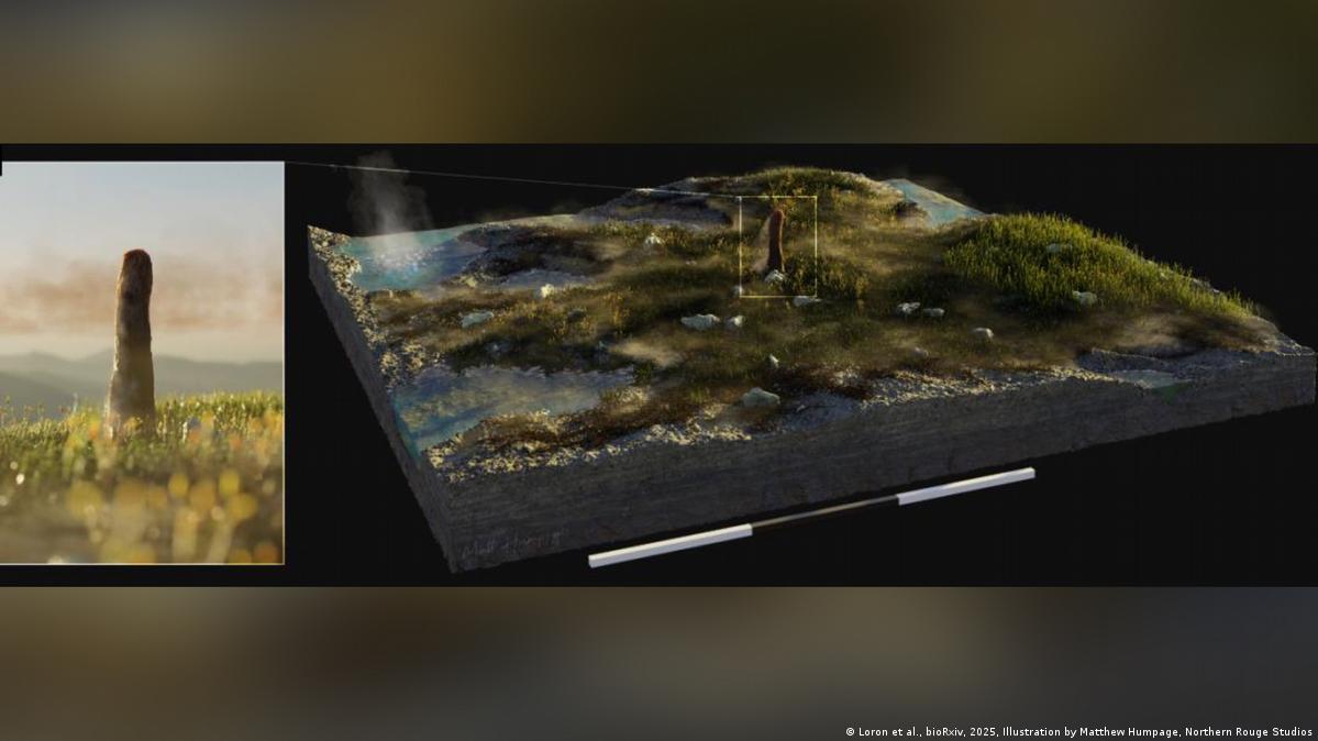 Antiguos gigantes podrían ser un nuevo tipo de vida extinto – DW – 01 ...