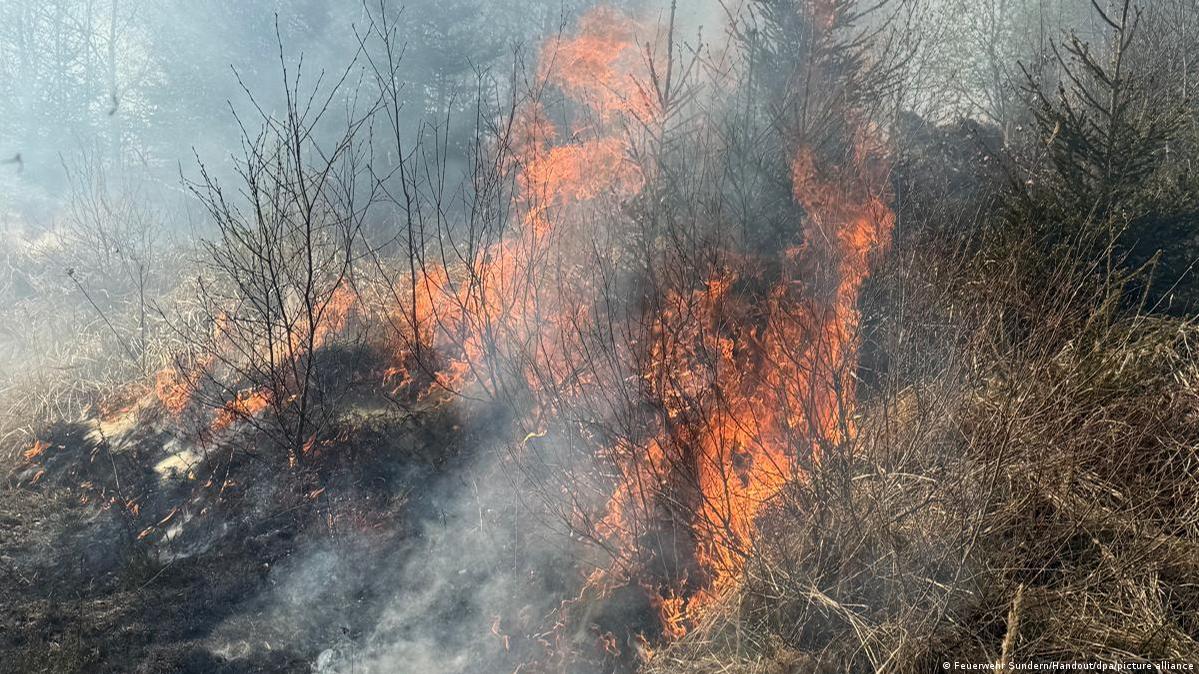 Firefighters tackle several wildfires in western Germany