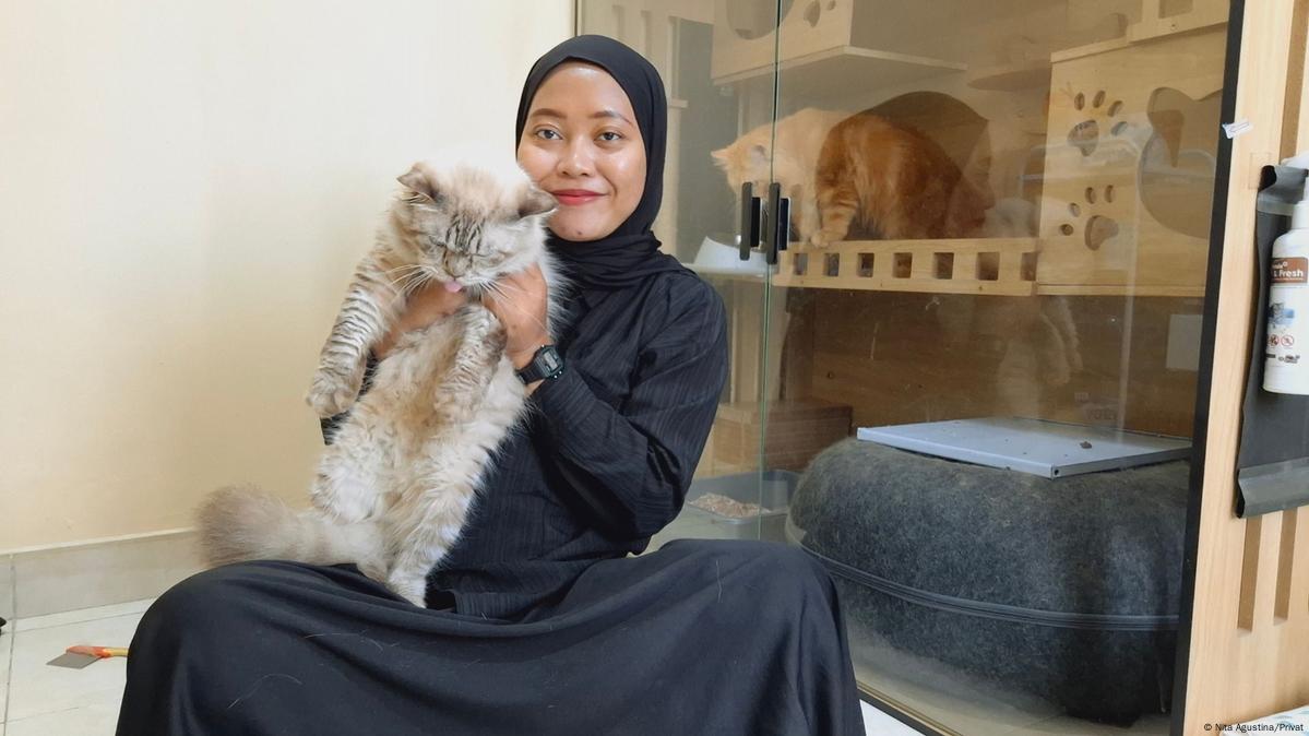 Main dengan Kucing dan Dapat Uang: Hobi Jadi Profesi! – DW – 29.04.2025