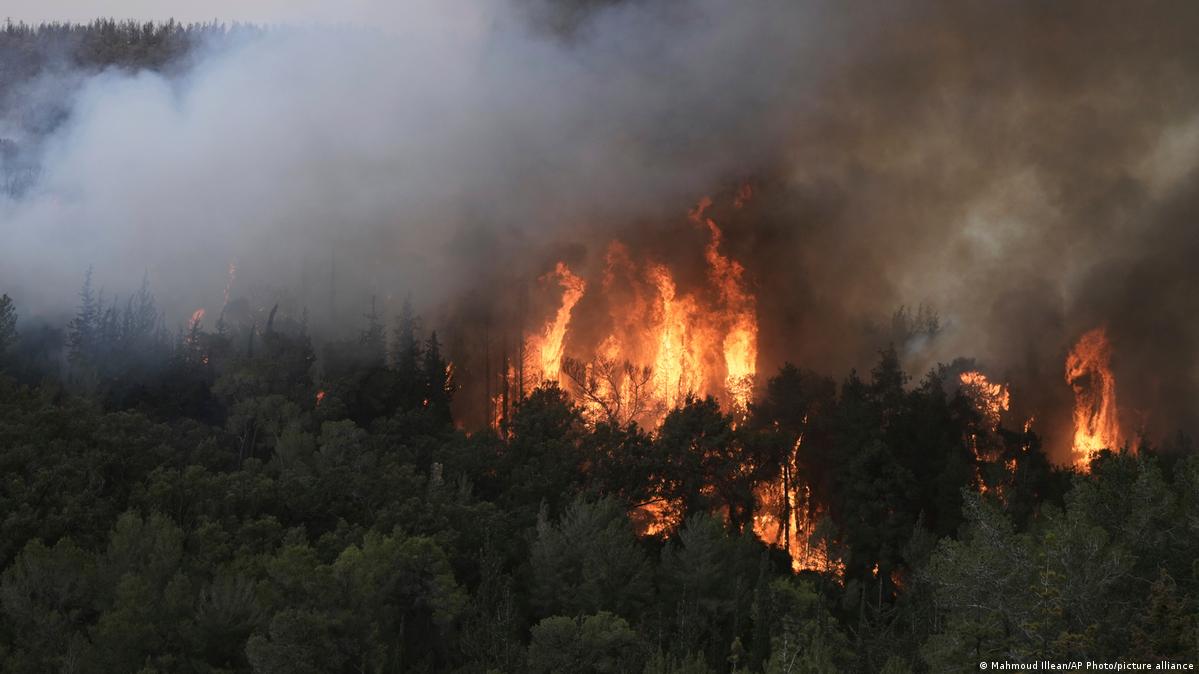Alerta máxima por incendios en la región de Jerusalén – DW – 30/04/2025