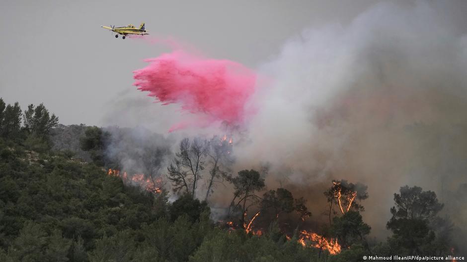 Israeli firefighters battle wildfires outside Jerusalem – DW – 05/01/2025