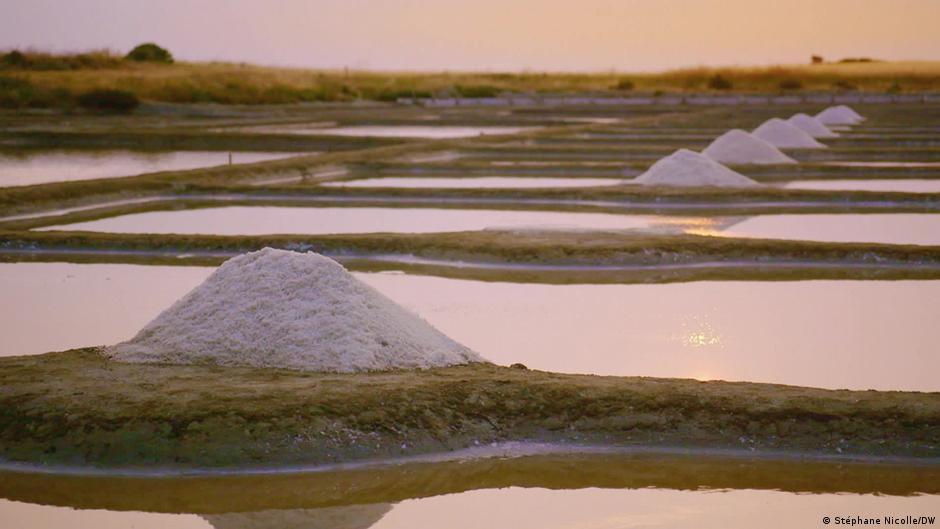 French sea salt is a culinary must-have – DW – 05/26/2025