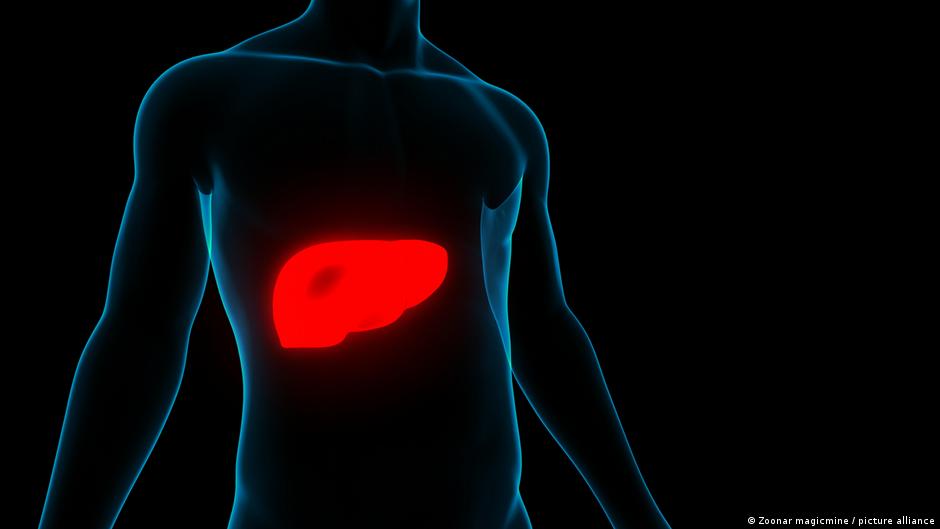 Hepatitis od A do E - Naslovi.net