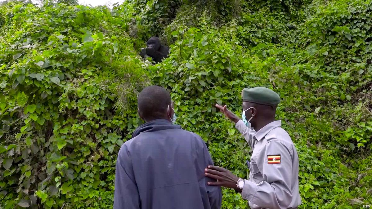 Why Protecting Wildlife Benefits Humans