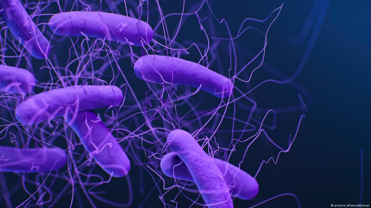 Fecal transplants: Study is a 'wake-up call' for the field