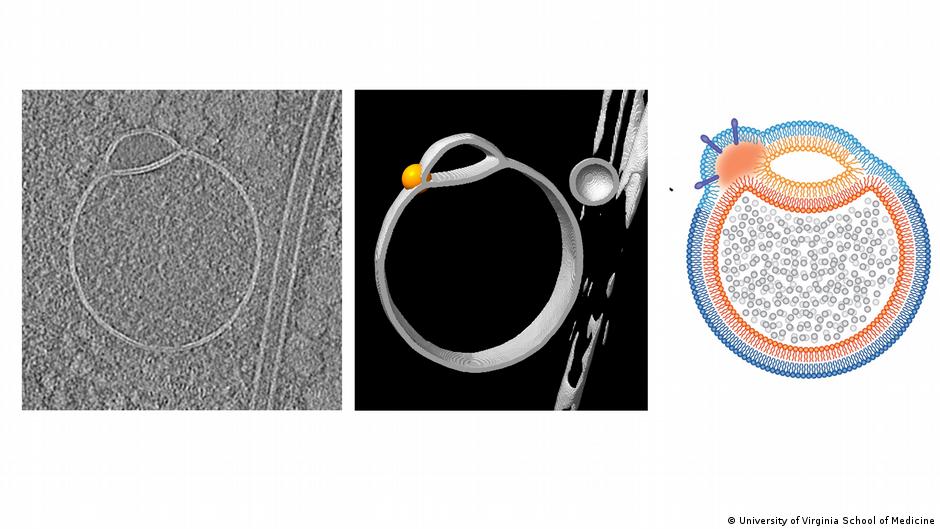 Erome.anitta for a time, I had been wanting to experience