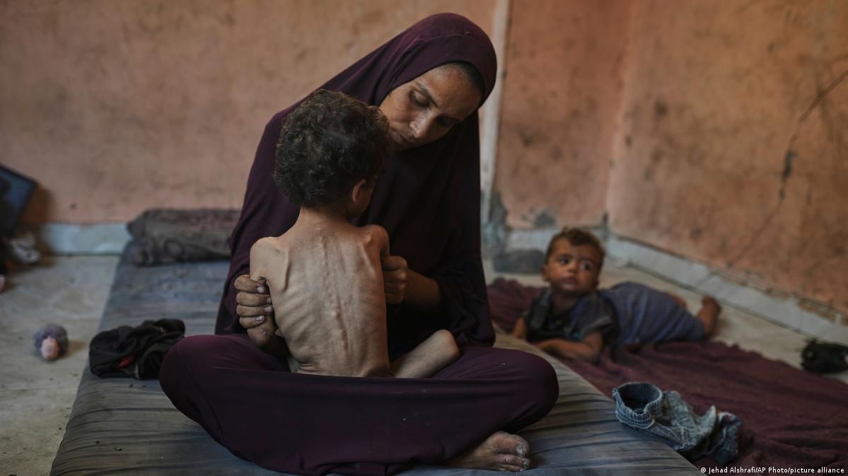 Middle East: Gaza famine 'playing out' — UN-backed monitor – DW – 07/29 ...