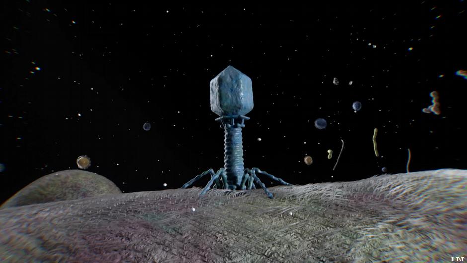 The Good Virus – DW – 07/30/2025