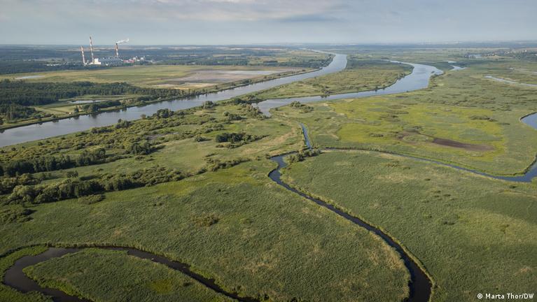 German, Polish activists fight to get the Oder River clean