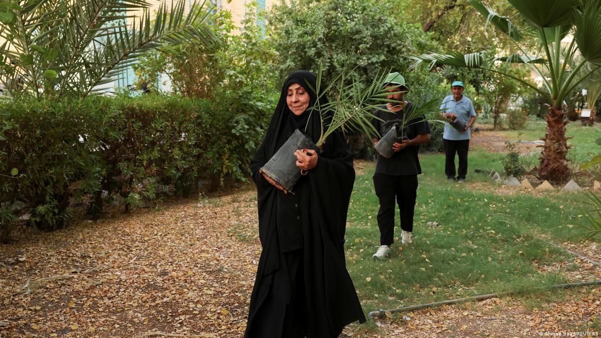 Free plants for Baghdad: Iraqi gardener fights desertification