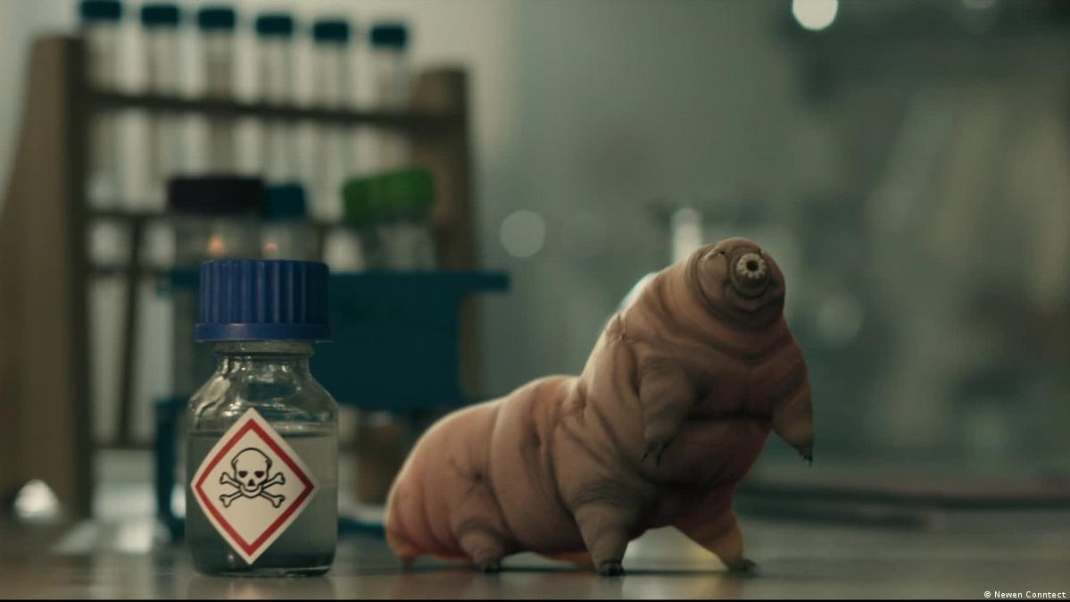 Tiny and Tough - The Incredible Resilience of Tardigrades – DW – 08/20/2025