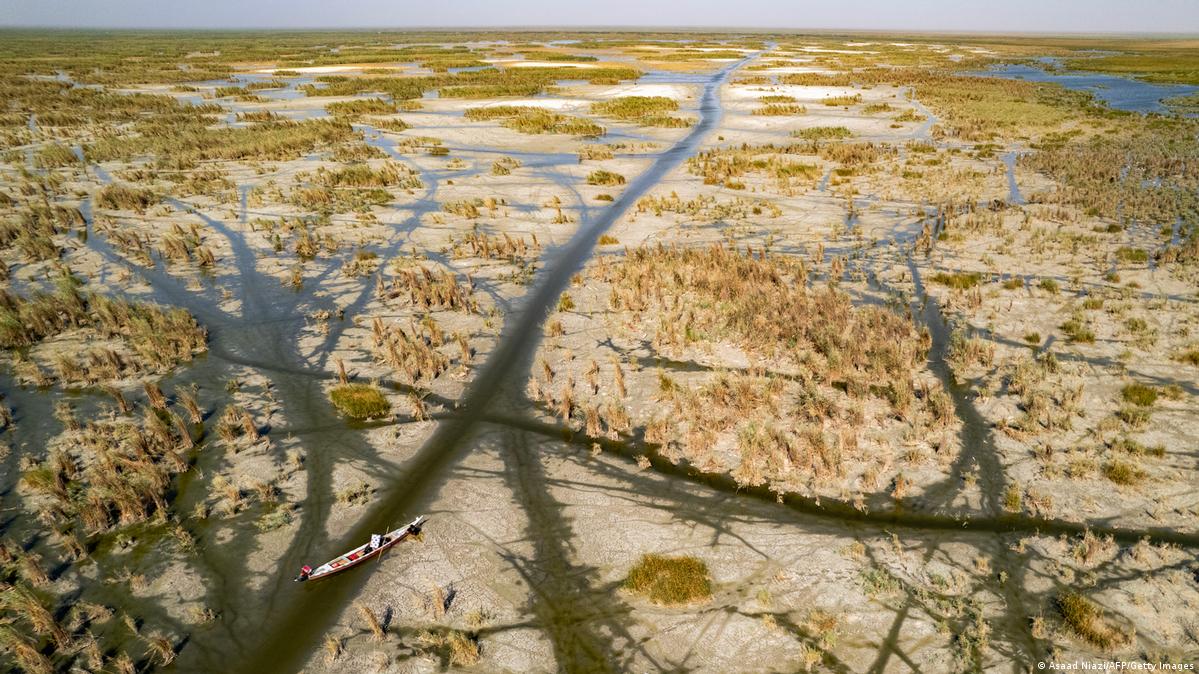 Iraq's Chibayish marshes are dying in the drought – DW – 08/31/2025
