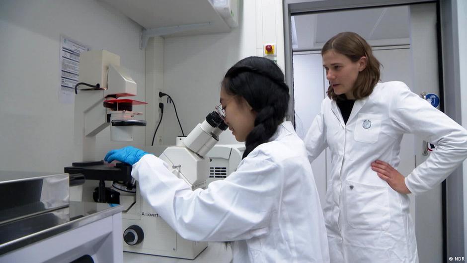 Women in Science – Female Researcher Numbers on the Rise