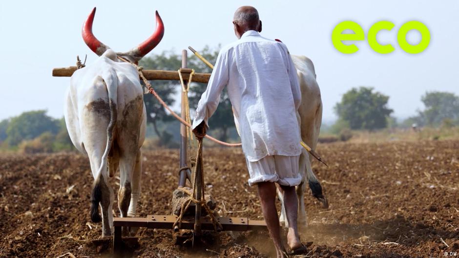 Enhanced farming for better food security and carbon capture