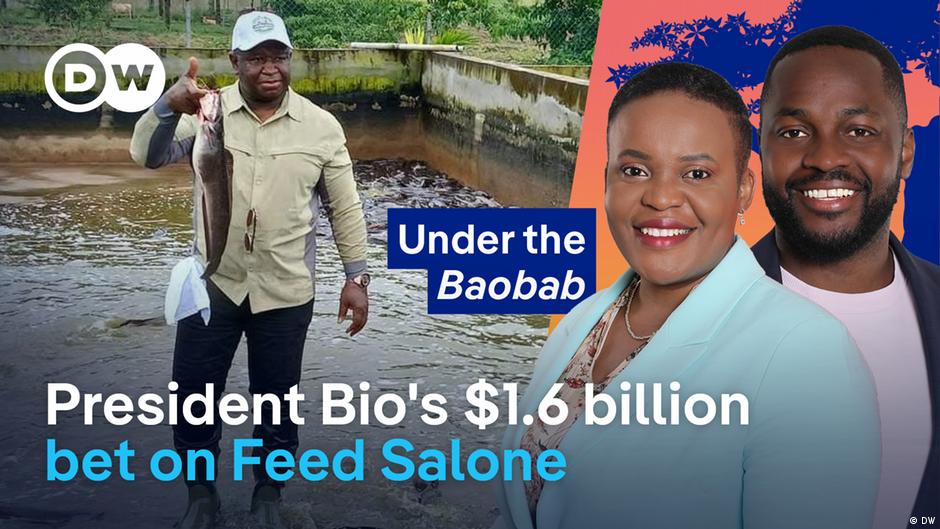 Sierra Leone: Is 'Feed Salone' fixing food security?