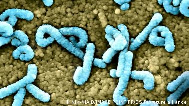 Top 10 des virus les plus dangereux au monde