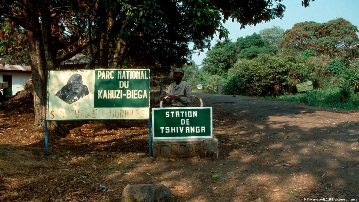 RDC : de nouveaux affrontements dans le Sud-Kivu