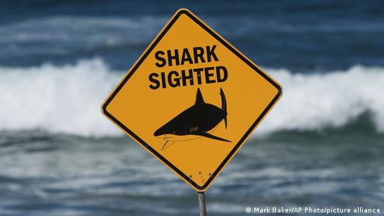 Australia: Man dies of shark attack on eastern coast