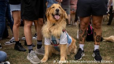 Argentina's 'good old boys' break world record – DW – 12/09/2025