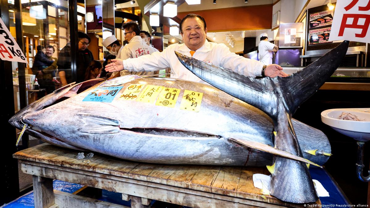 Massive bluefin tuna nets over $3 million at Tokyo auction