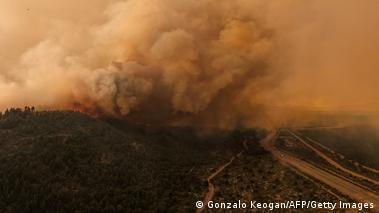 Do not inhale! How wildfire smoke 'affects the whole body'