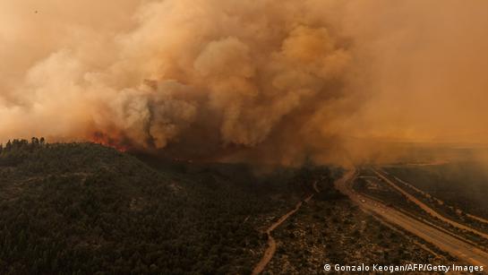 Do not inhale! How wildfire smoke 'affects the whole body'
