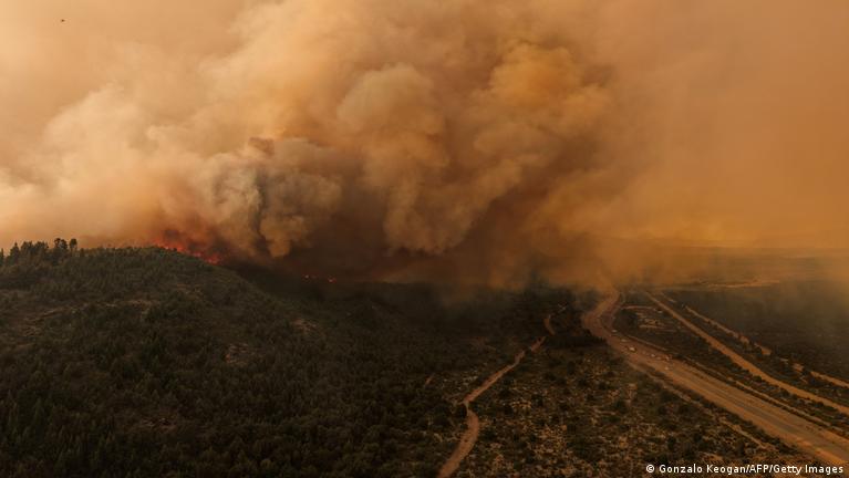 Do not inhale! How wildfire smoke 'affects the whole body'