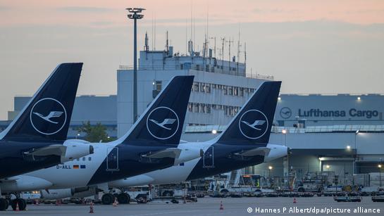 Germany news: Lufthansa scraps 20,000 flights