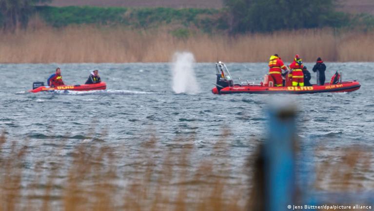 Germany news: Timmy the stranded whale back on the move