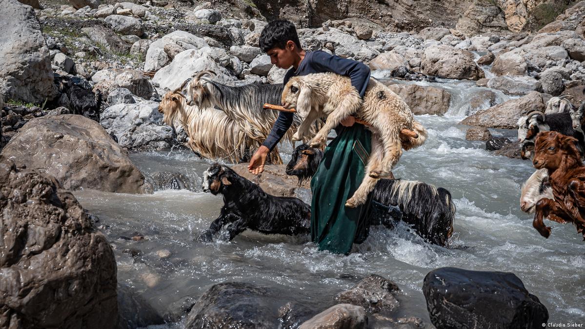 On the trail with Iran's last nomadic shepherds