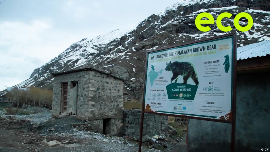 When bears stop sleeping: A climate story from Ladakh