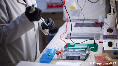 Hantavirus: Argentina expands probe to trace outbreak source
